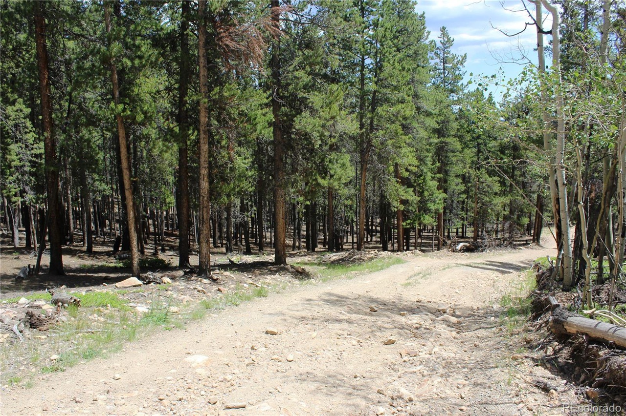 Treed Lot Close To Idaho Springs