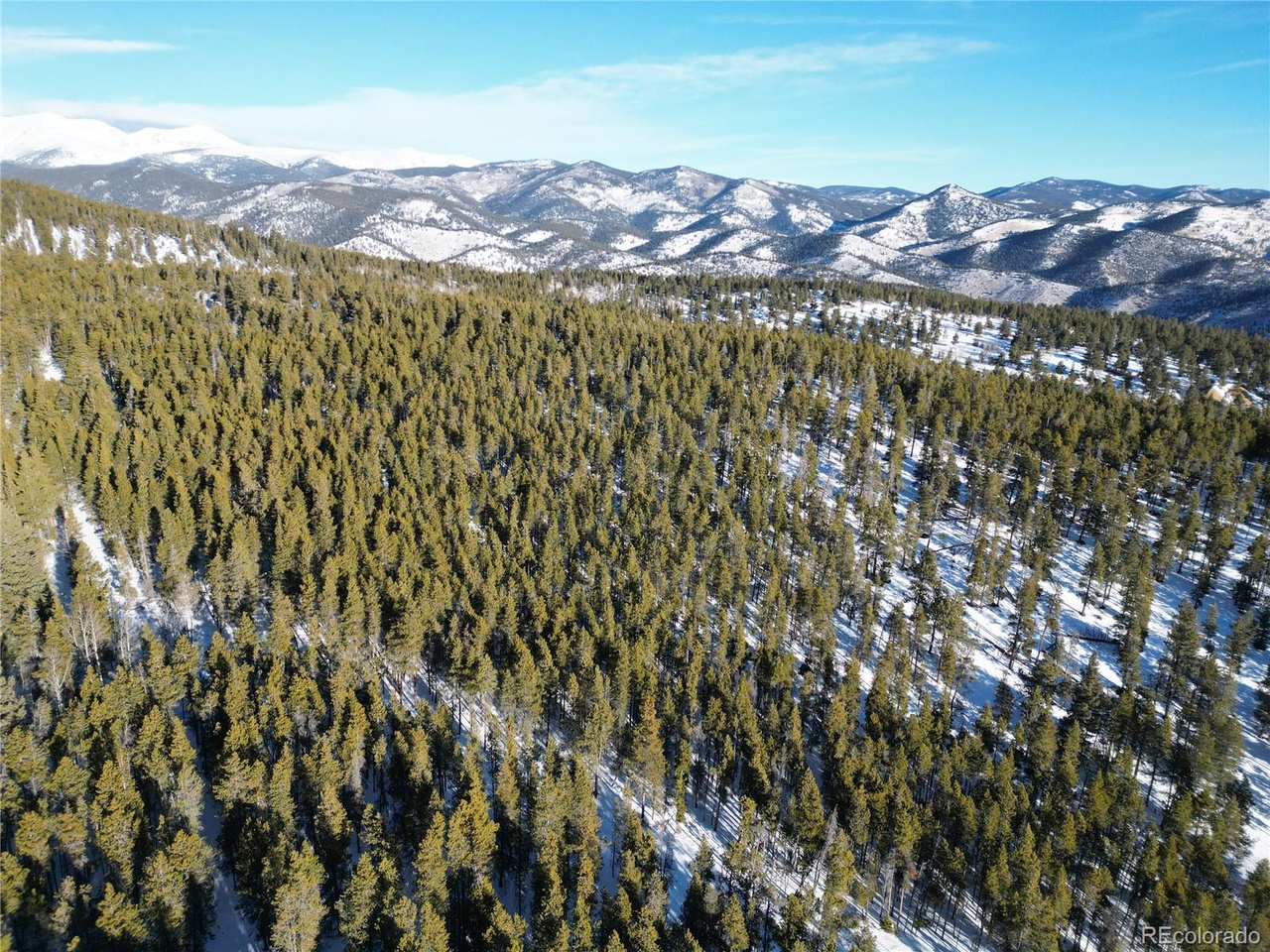 Treed Lot Close To Idaho Springs