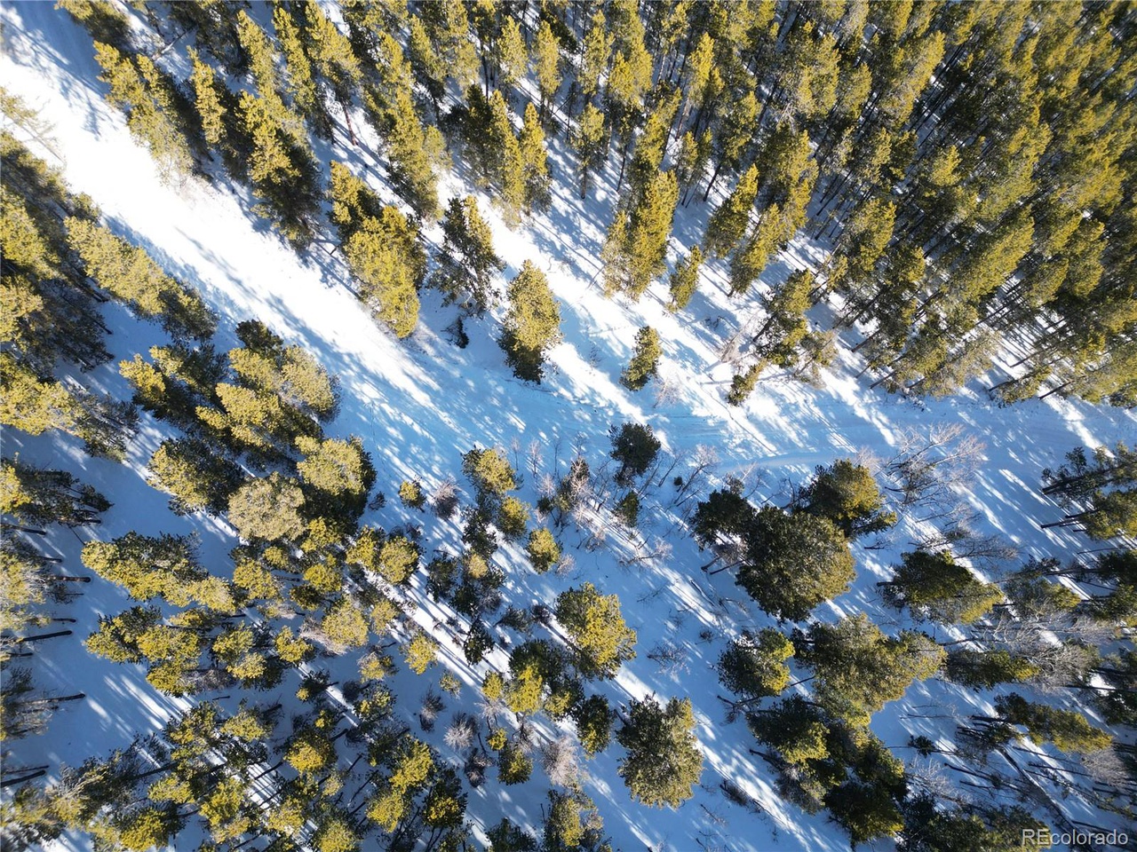 Treed Lot Close To Idaho Springs