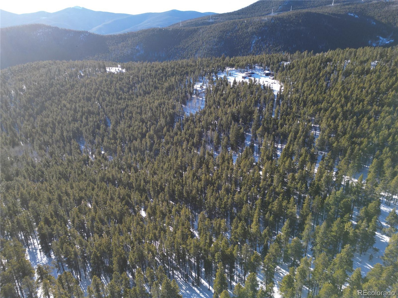 Treed Lot Close To Idaho Springs