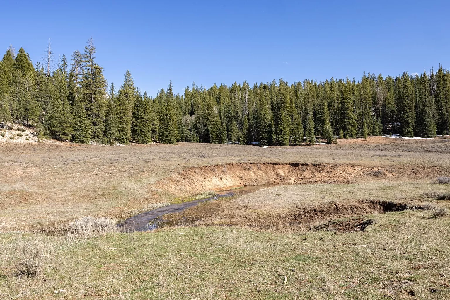 Your Dream is Closer Than You Think | The Terrain Project